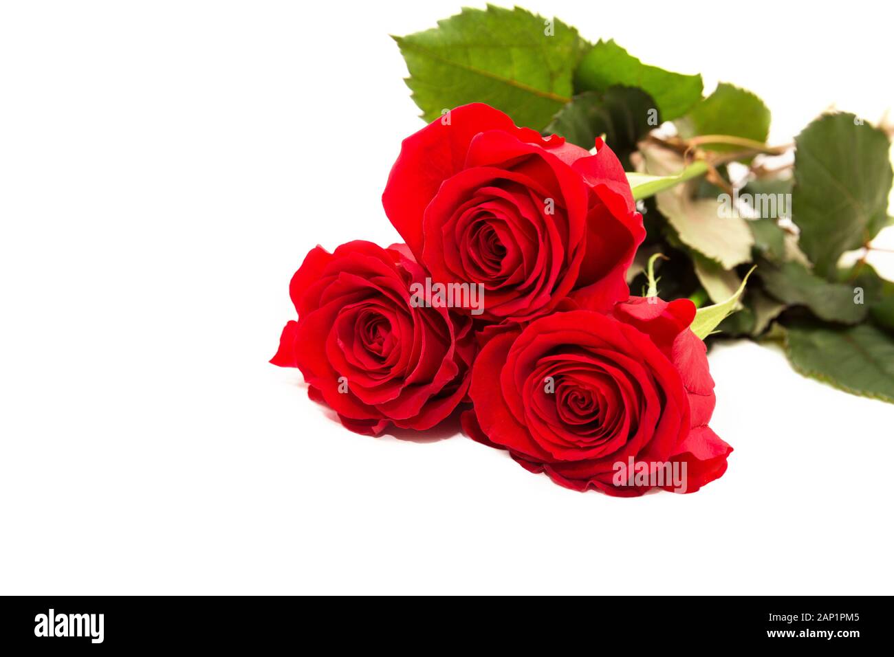 Bouquet of three red roses isolated on a white background Stock Photo ...
