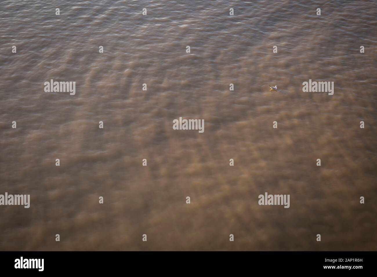 Background texture brown muddy hi-res stock photography and images - Alamy