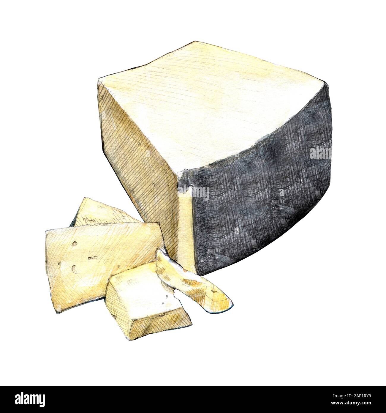 Pecorino cheese watercolor illustration on white background Stock Photo ...