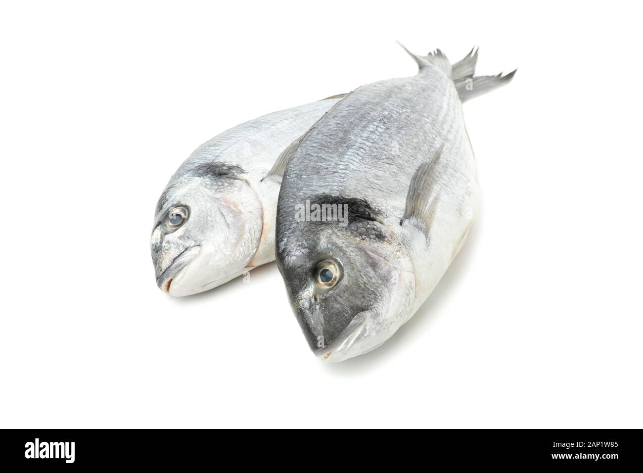 Fresh Dorado fishes isolated on white background Stock Photo - Alamy