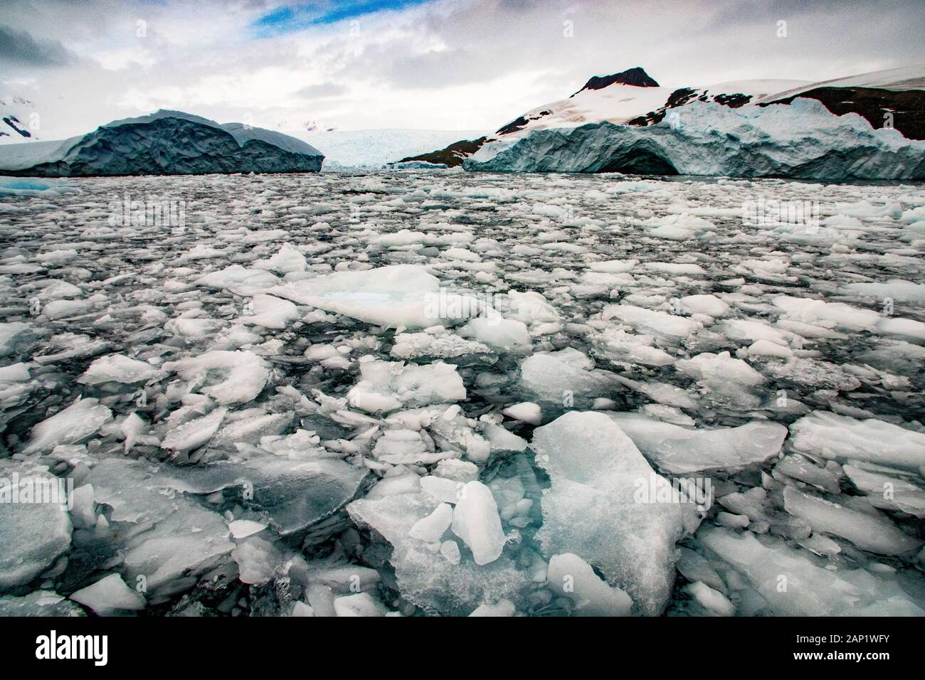 Sheet of floating ice hi-res stock photography and images - Alamy