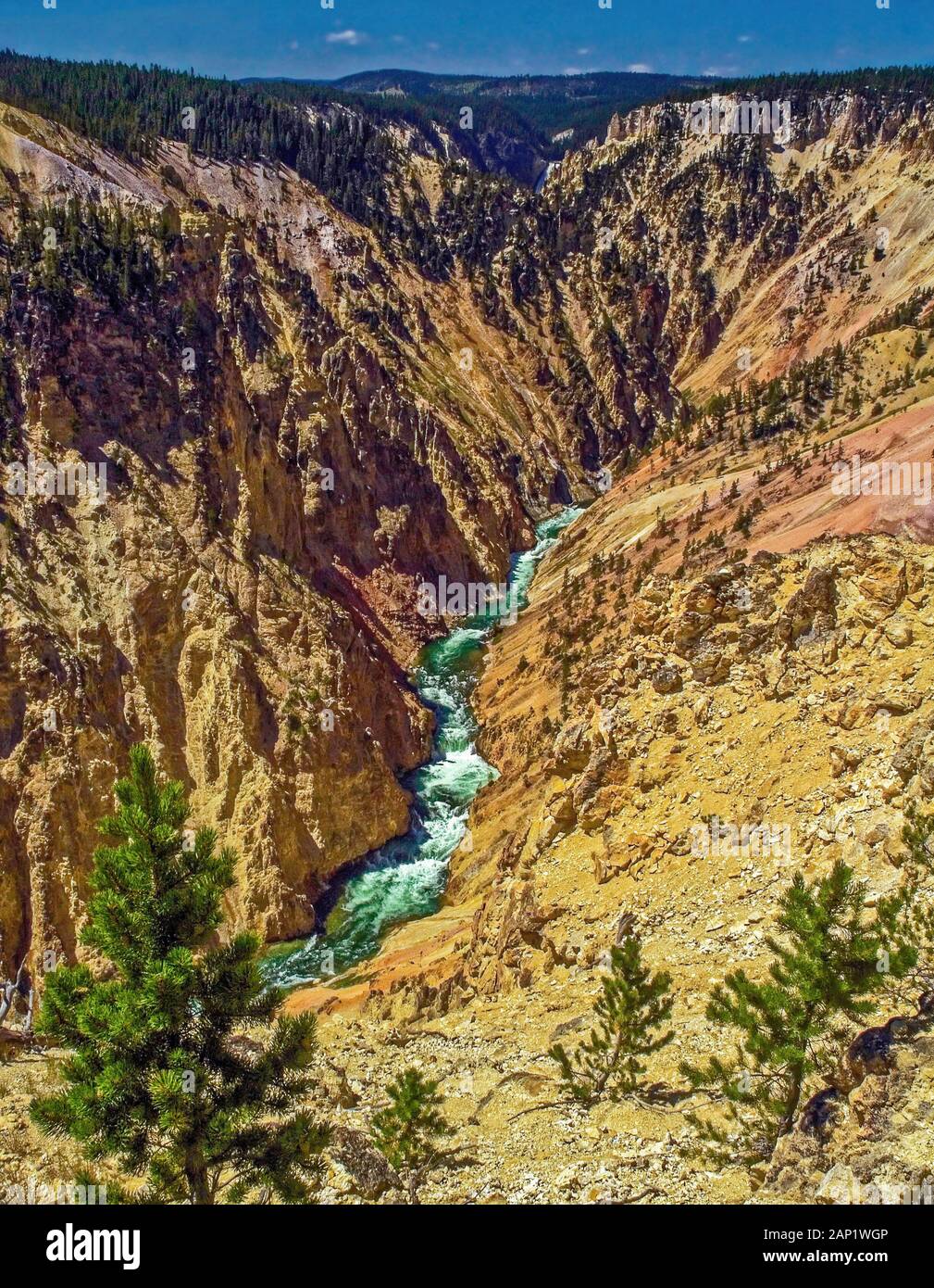 Yellowstone River, white water, colorful steep canyon; golden hillsides ...