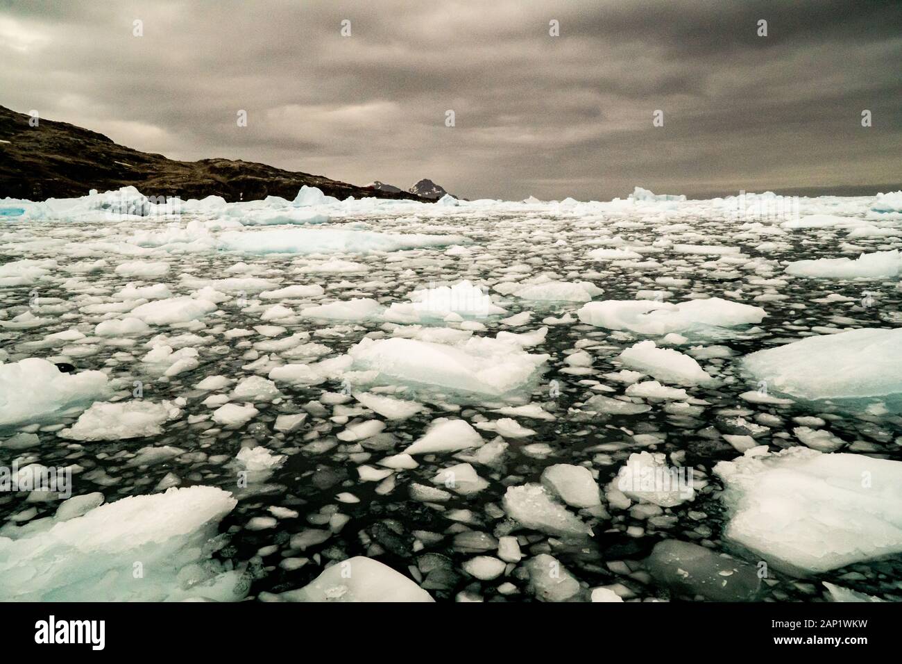 Sheet of floating ice hi-res stock photography and images - Alamy