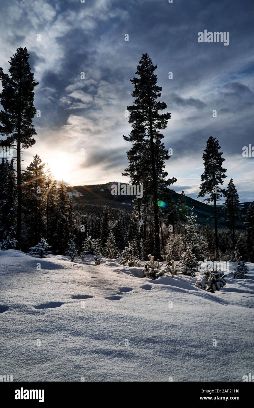 Hallingdal hi-res stock photography and images - Alamy