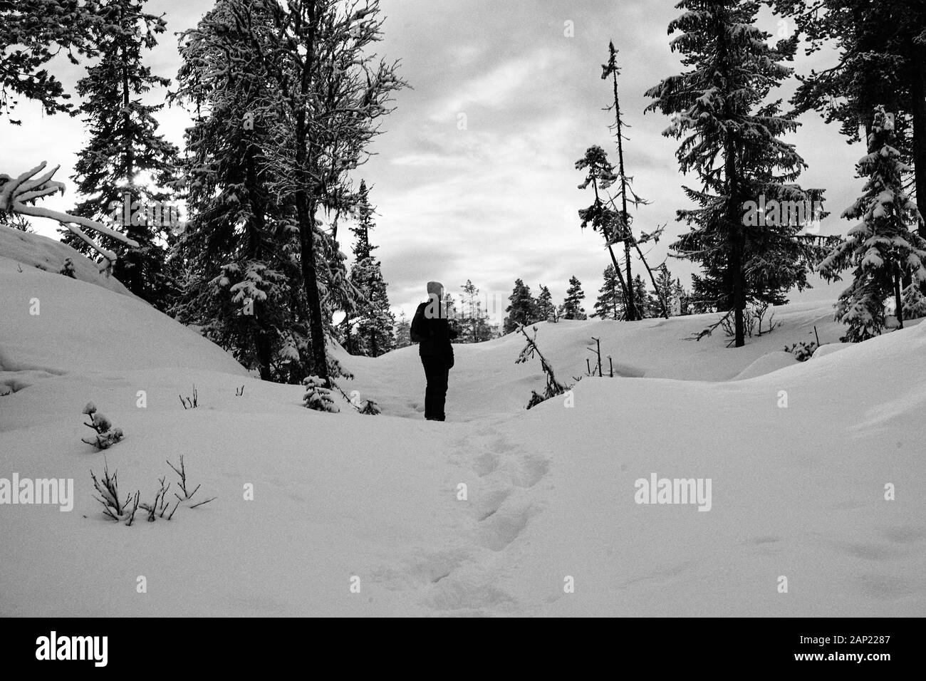 Winterlandscape Gol, Hallingdal, Norway Stock Photo - Alamy