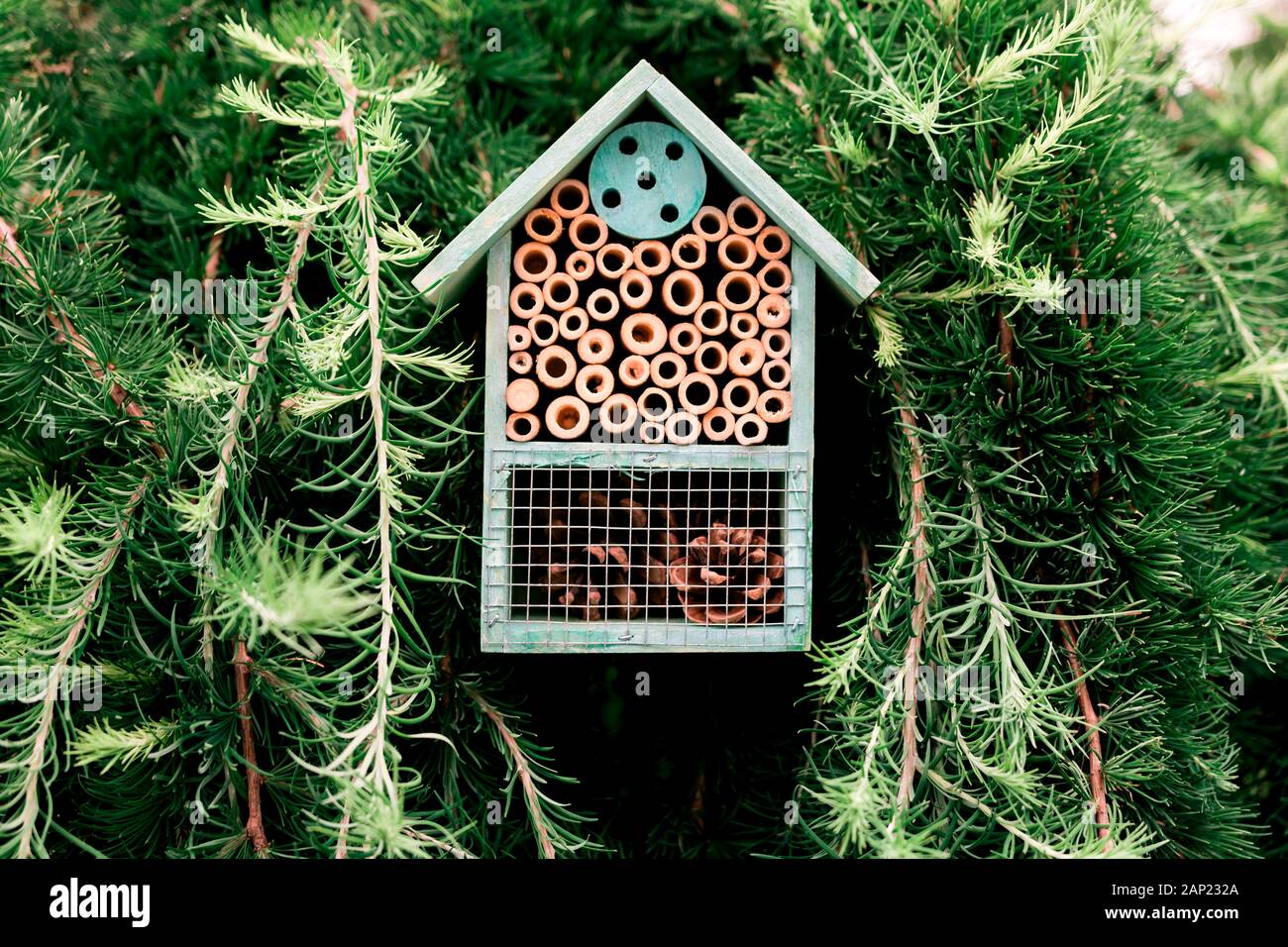 Wooden shelter for mason bees - DIY hive (bee house) made of natural ...
