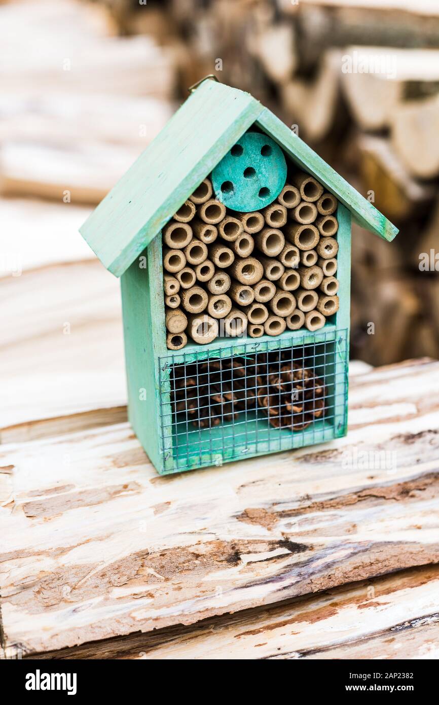 Wooden shelter for mason bees - DIY hive (bee house) made of natural ...