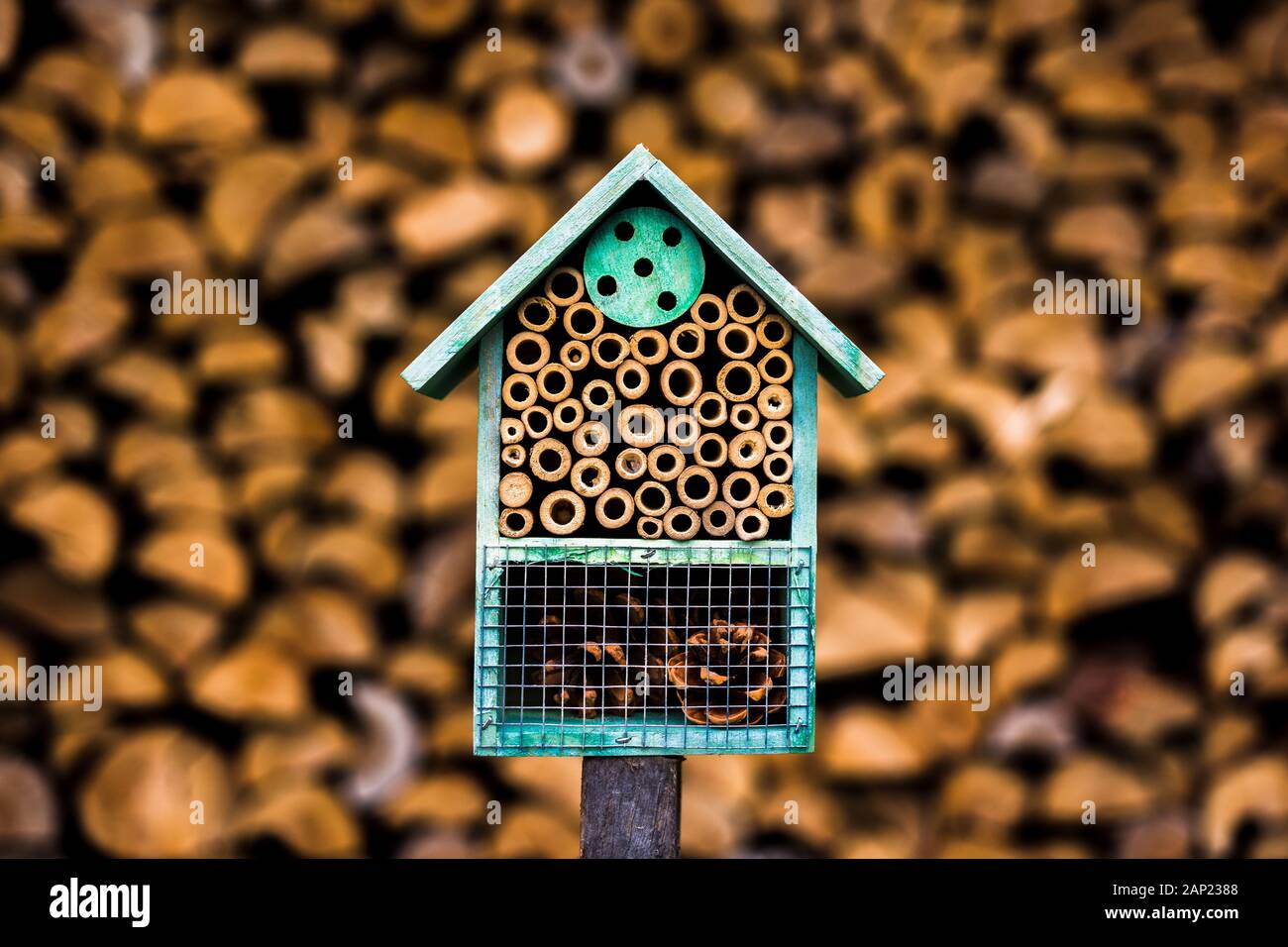 Wooden shelter for mason bees - DIY hive (bee house) made of natural ...