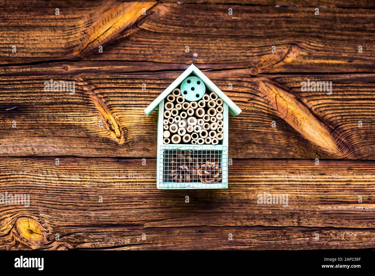 Wooden shelter for mason bees - DIY hive (bee house) made of natural ...