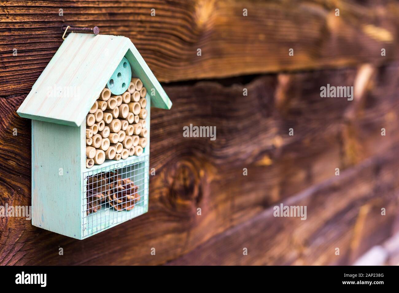 Wooden shelter for mason bees - DIY hive (bee house) made of natural ...