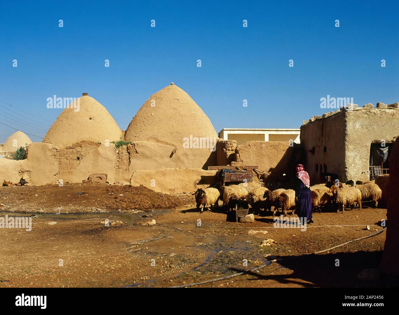 Syrian Arab Republic. Old traditional hive houses adapted to moderate ...