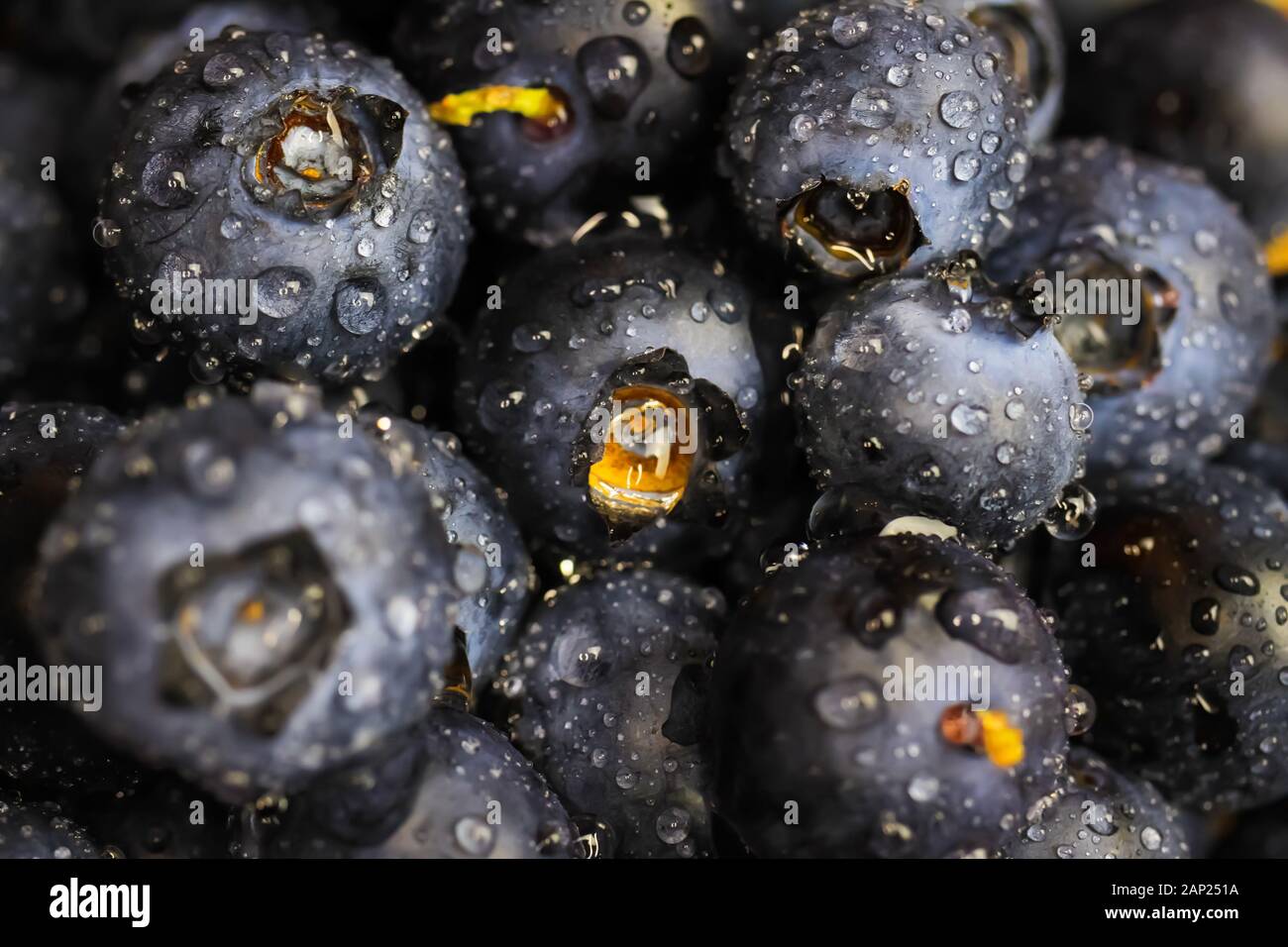 Makro close full frame up of group fresh raw wet blueberries with water ...