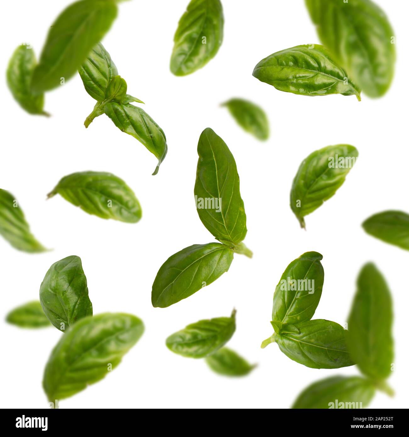 Flying spinach or basil leaves isolated on white background Stock Photo ...