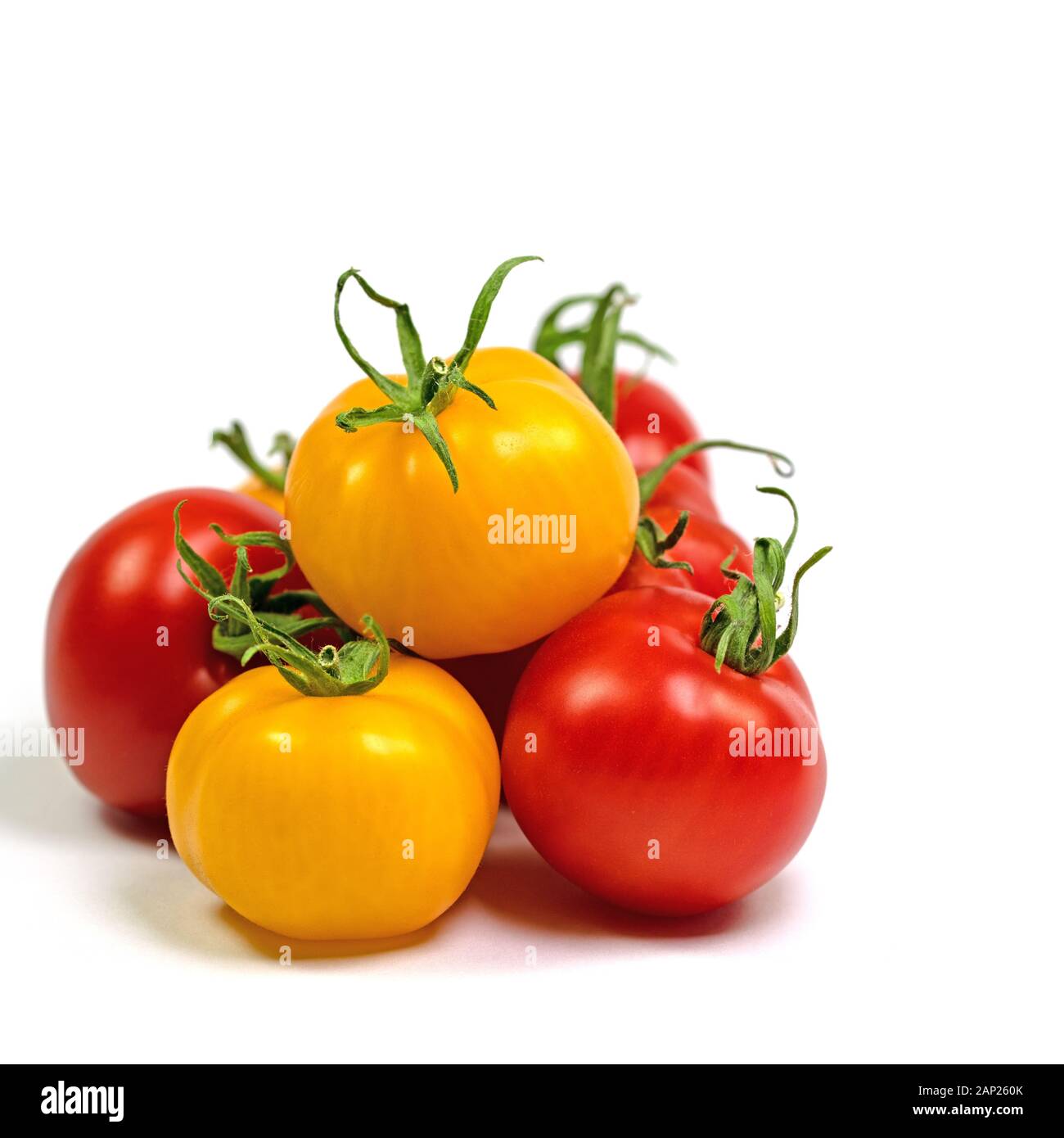 Solanaceae yellow tomato hi-res stock photography and images - Alamy