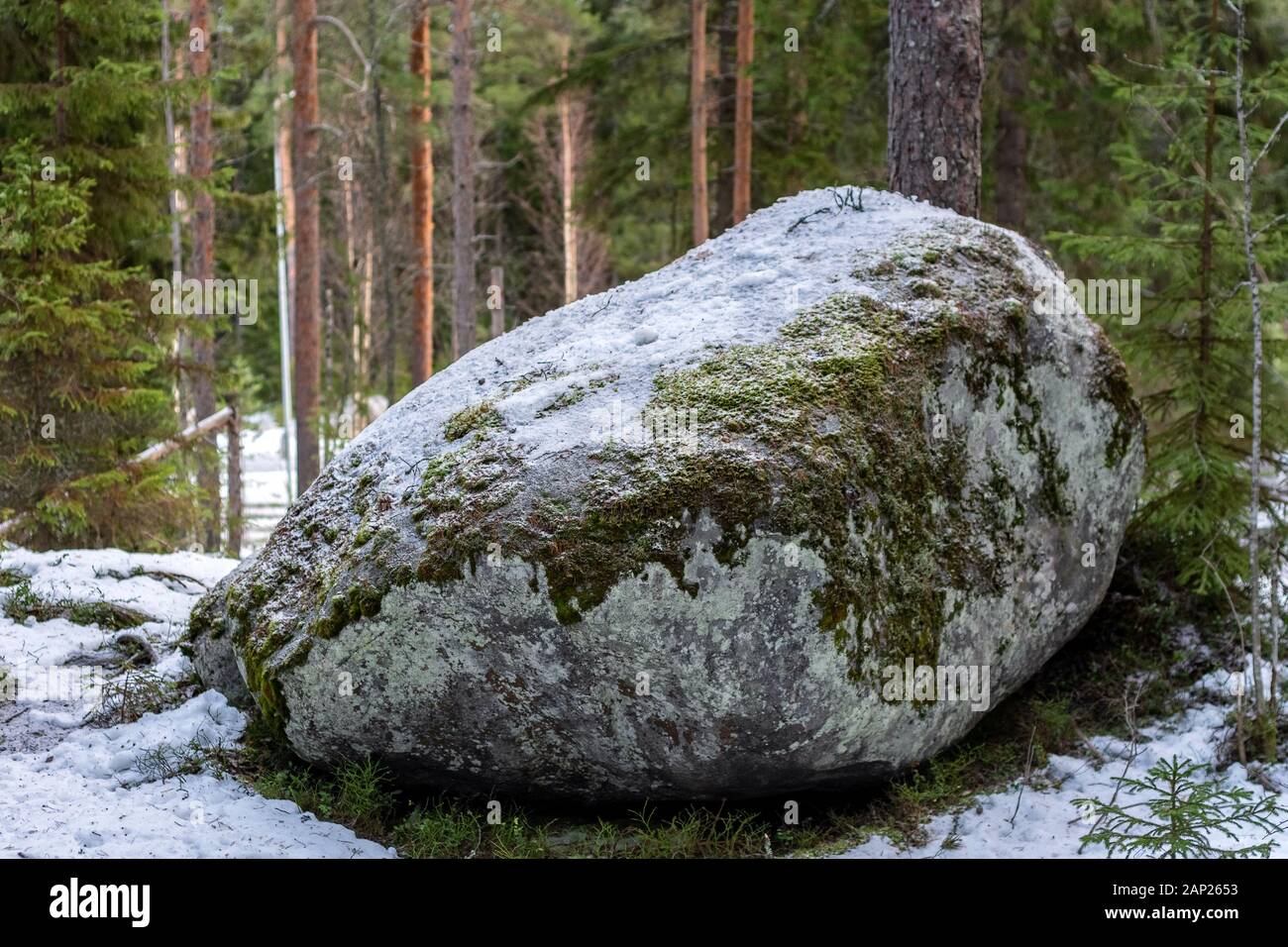 Large stone boulder, overgrown with moss, lying on the ground in the ...