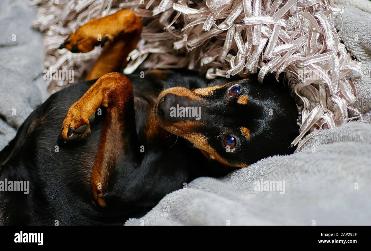 Supine position hi-res stock photography and images - Alamy