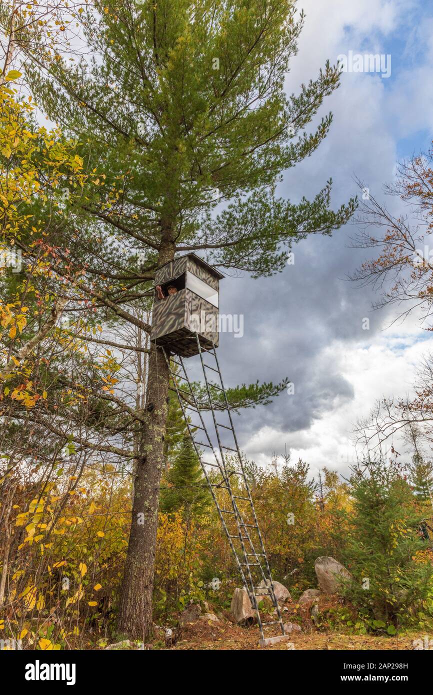Hunting blind hi-res stock photography and images - Alamy