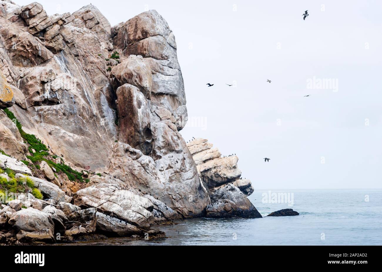 Coastal rock texture hi-res stock photography and images - Alamy