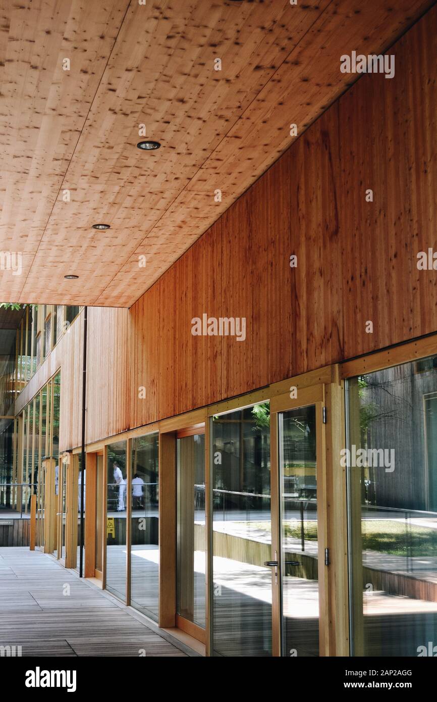 Rehab Basel building designed by Herzog & de Meuron Stock Photo - Alamy