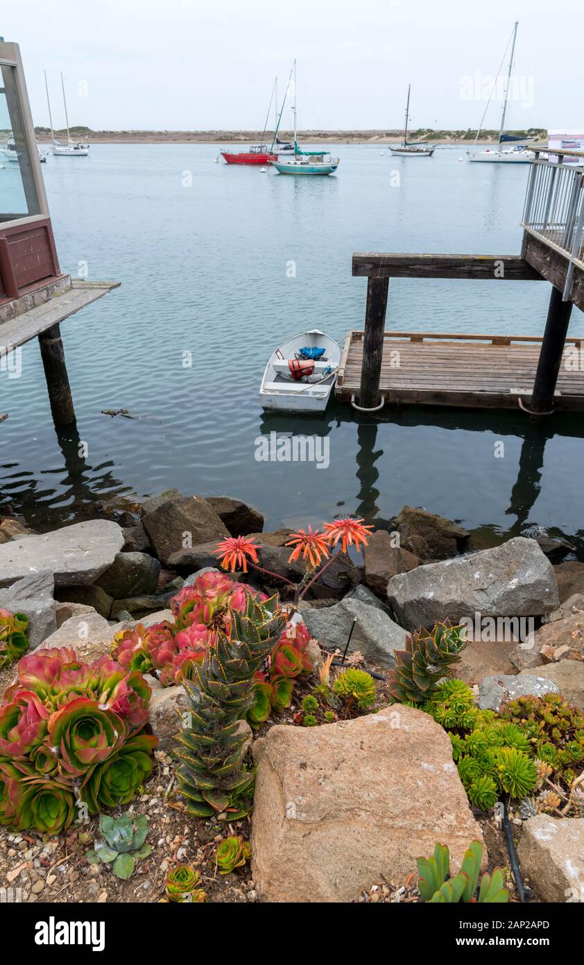 Dockside view of boats in the harbour on an overcast afternoon at Morro ...