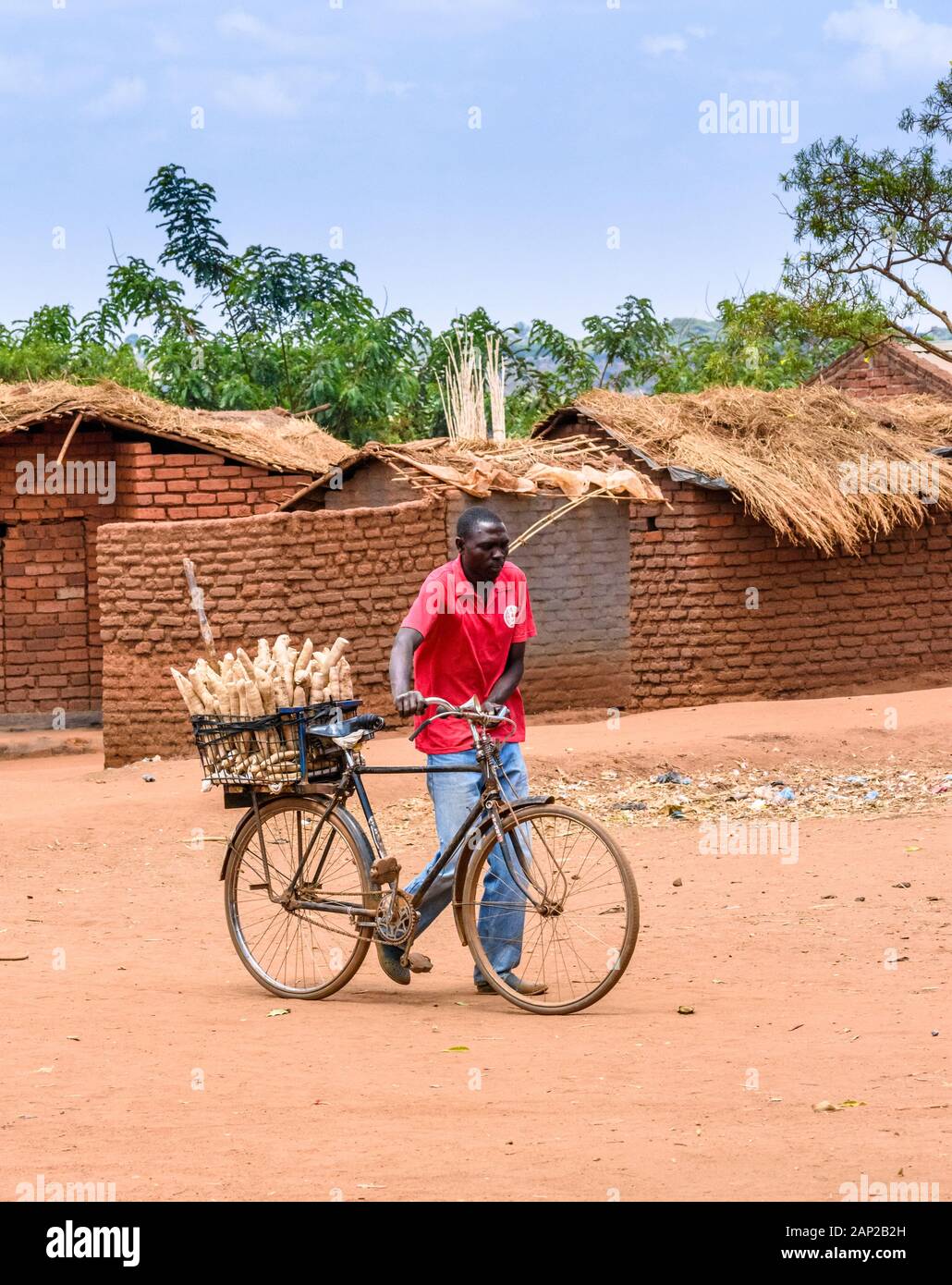 a Malawian man sells casava from his bicycle in a Malawian village ...