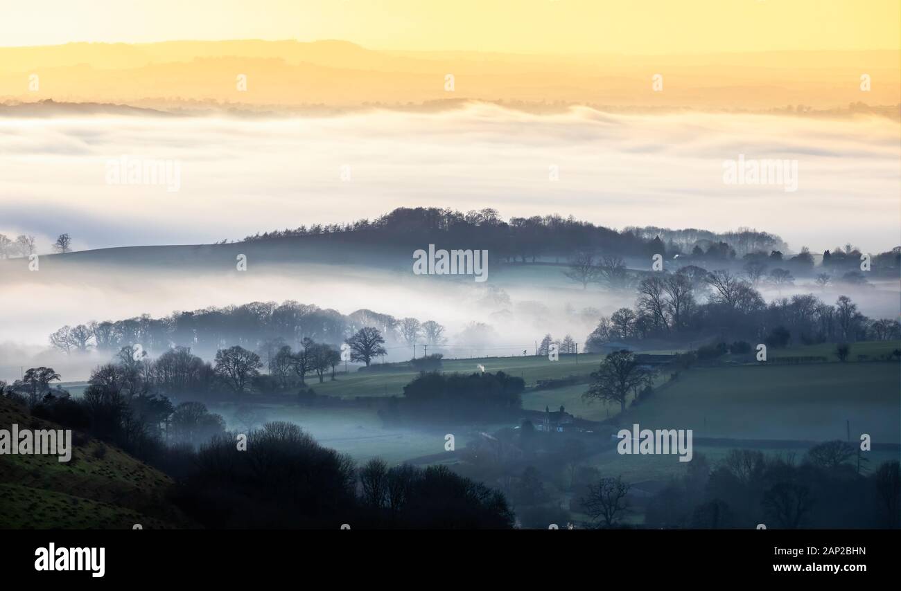Wooded valley shrouded in mist at sunset in the English countryside ...