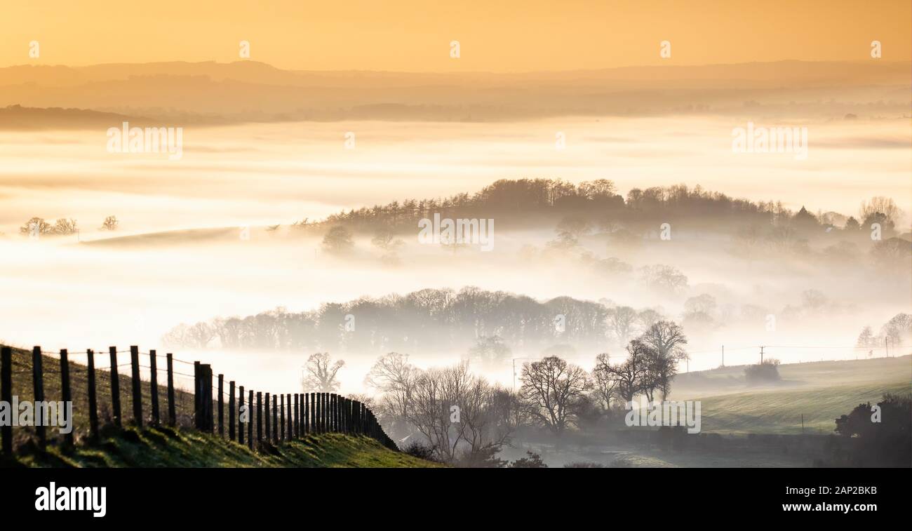 Wooded valley shrouded in mist at sunset in the English countryside ...