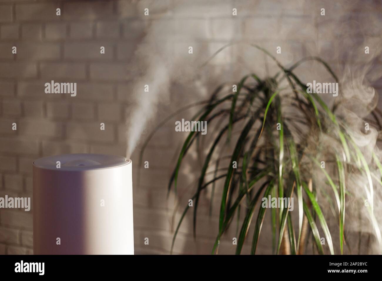 Humidifier spreading steam into the living room Stock Photo - Alamy