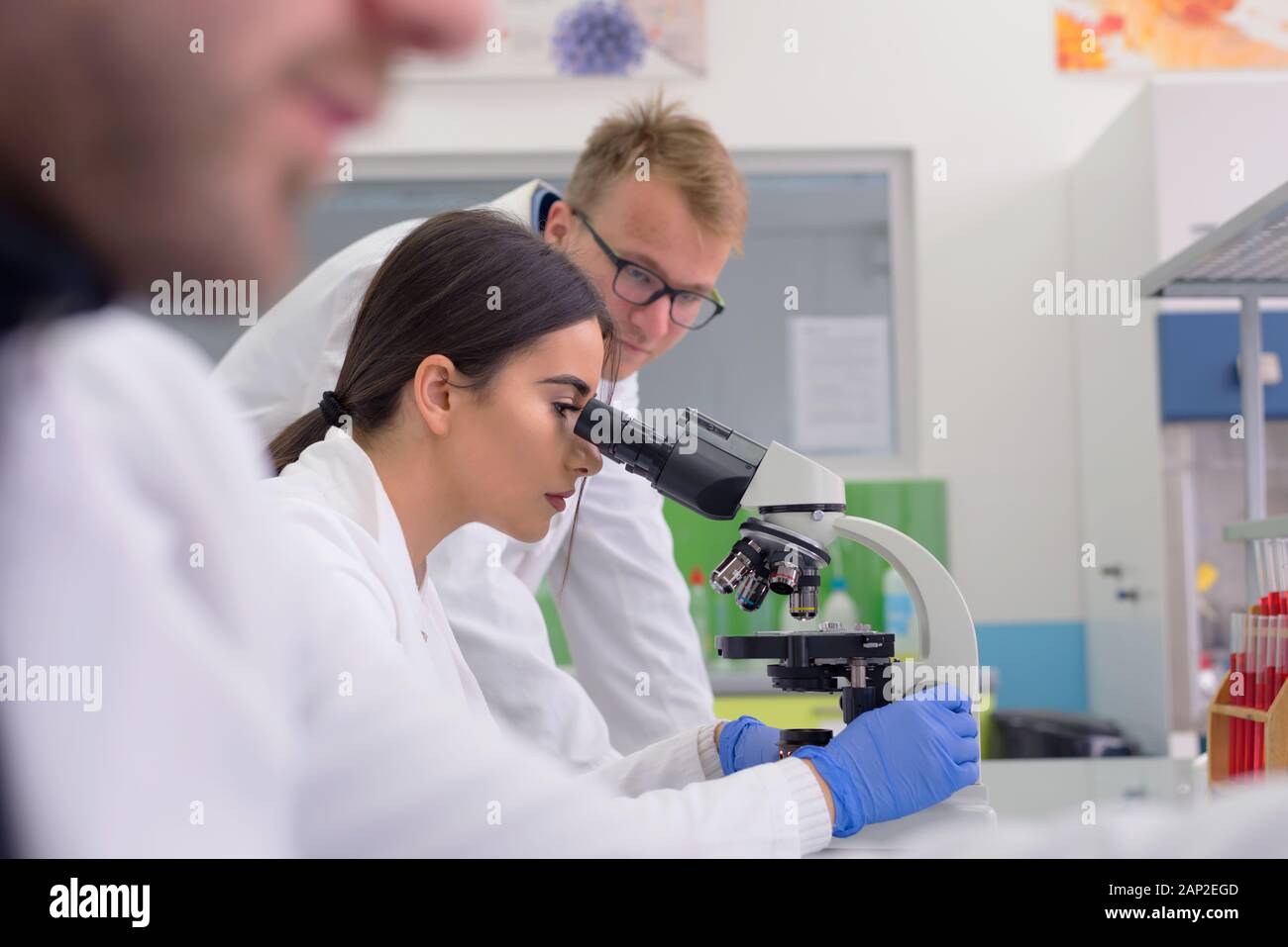 Group of Laboratory scientists working at lab with test tubes, test or ...