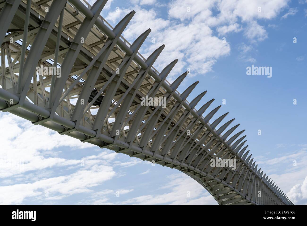 skeleton bridge Venice close up photography, arichtecture photography ...