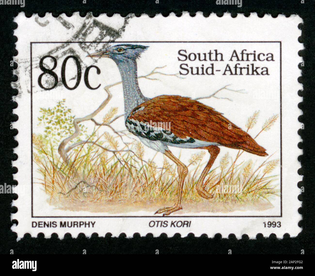 Otis kori hi-res stock photography and images - Alamy