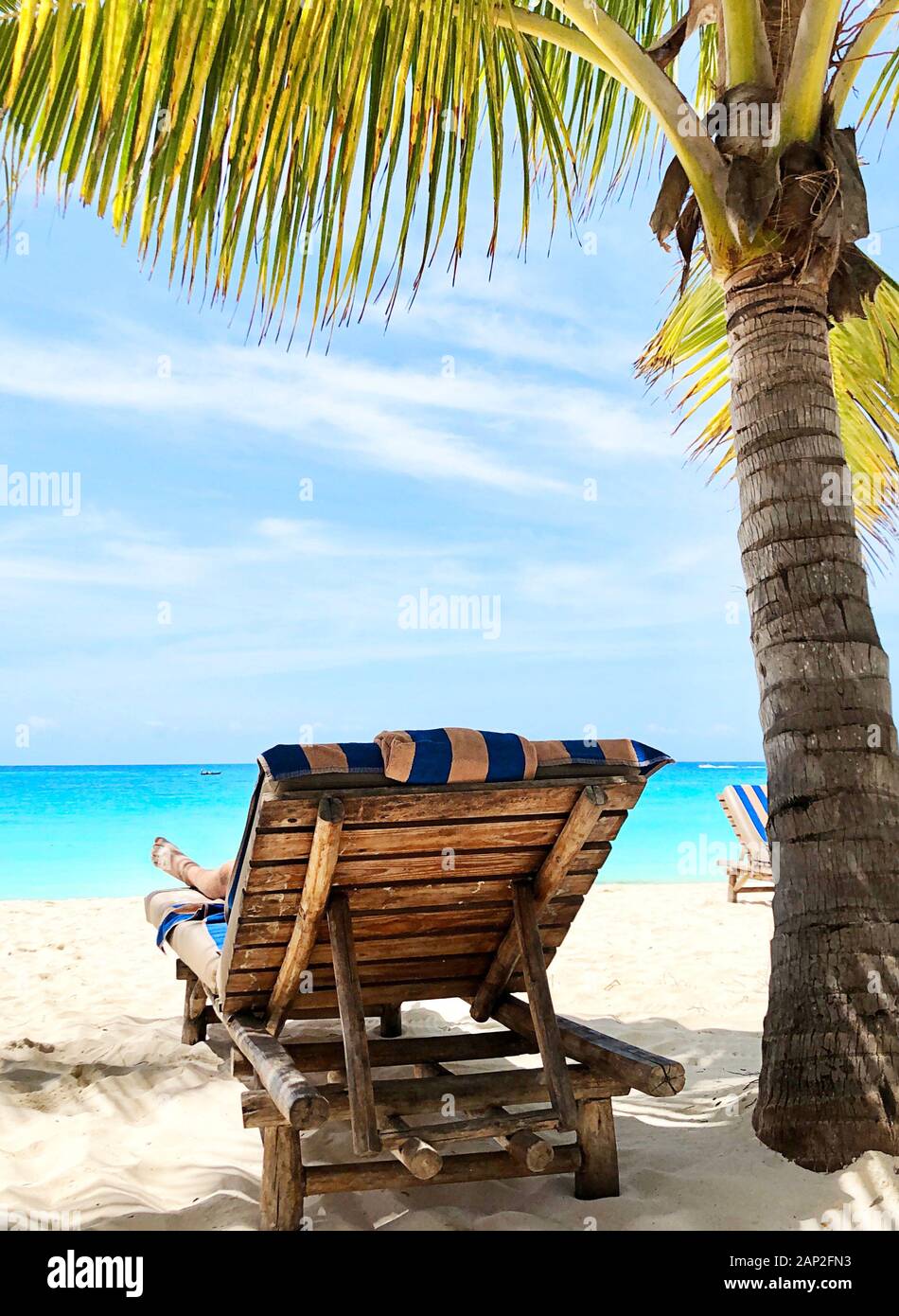 Tropical nature landscape. Sunbed on sandy beach under palm tree ...