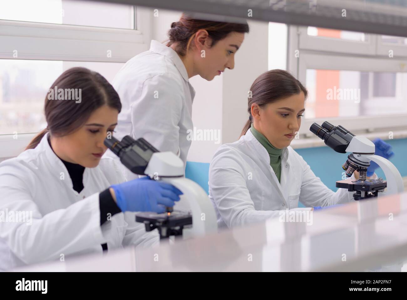 Group of Laboratory scientists working at lab with test tubes, test or ...