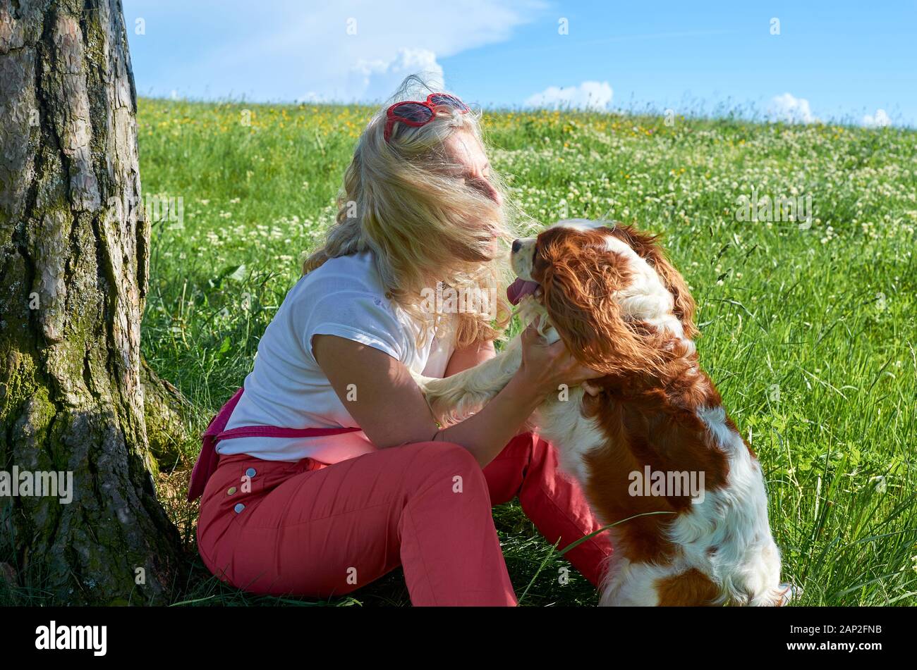 Woman enjoying a moment with her little cavalier king charles spaniel ...
