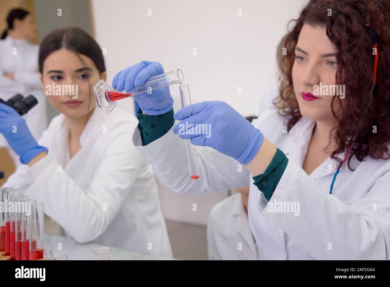 Group of Laboratory scientists working at lab with test tubes, test or ...