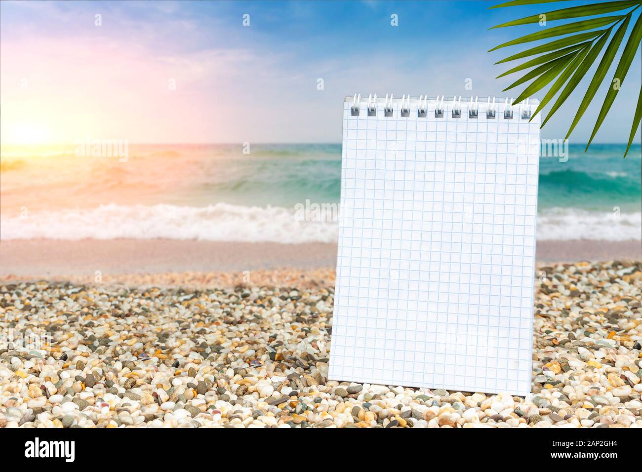 Woman notepad beach hi-res stock photography and images - Alamy