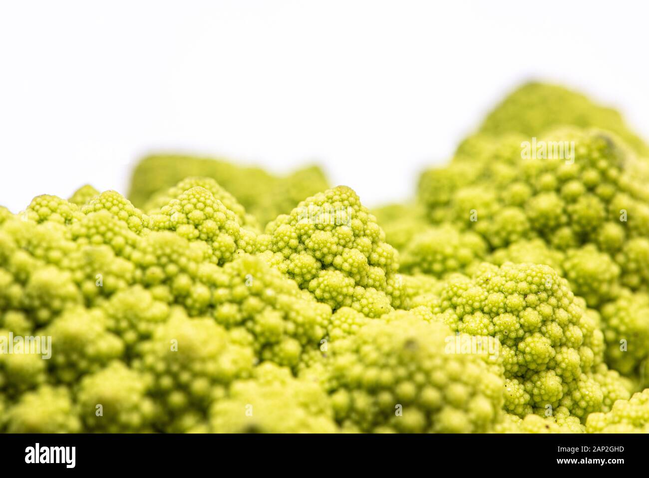 Romanesco cauliflower is an edible flower originated in Italy Stock ...