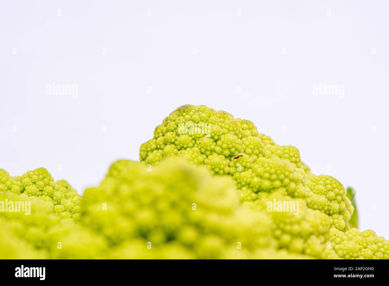 Romanesco cauliflower is an edible flower originated in Italy Stock ...