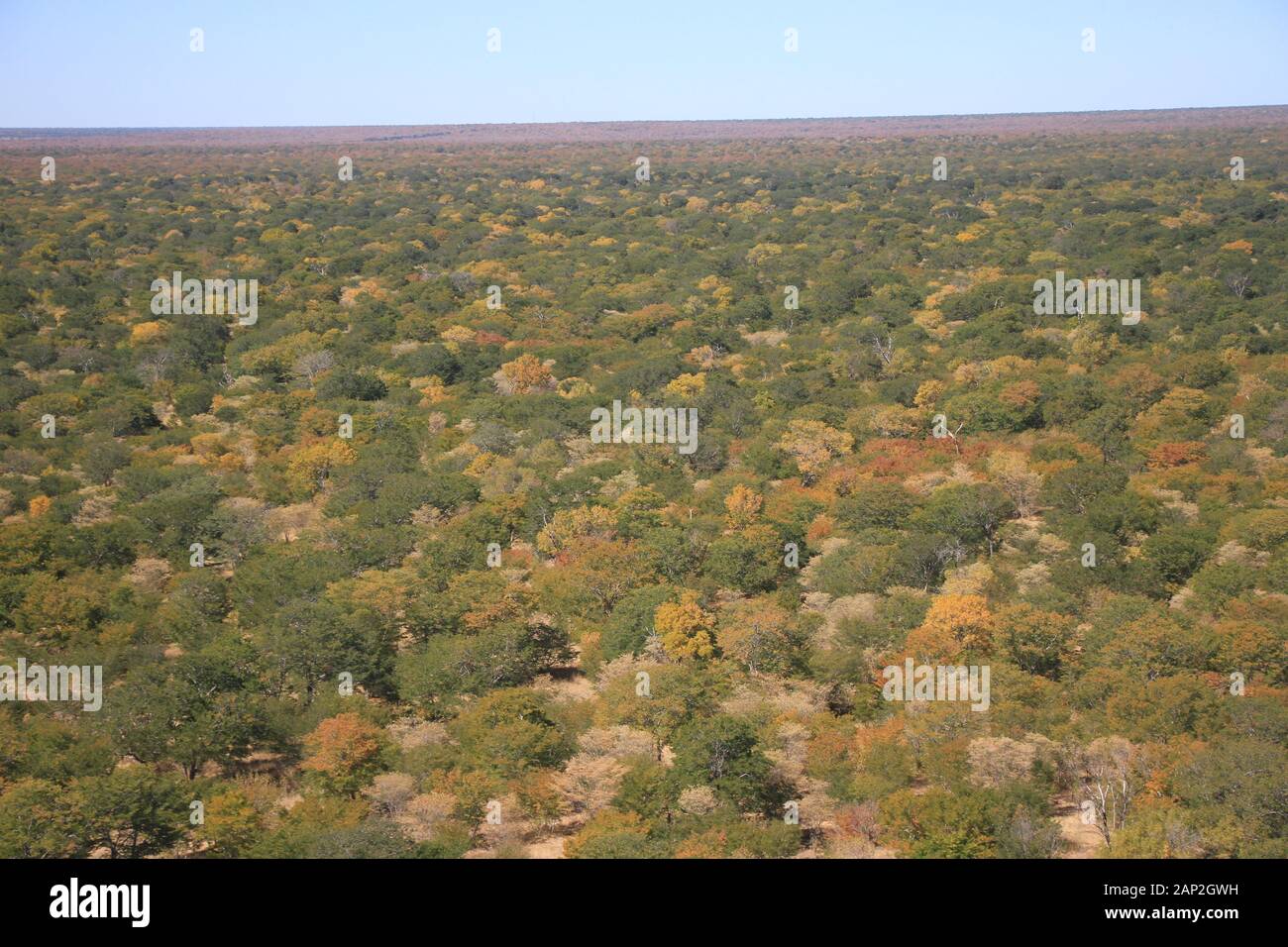 Aerial landscape photograph of the okavango delta hi-res stock ...