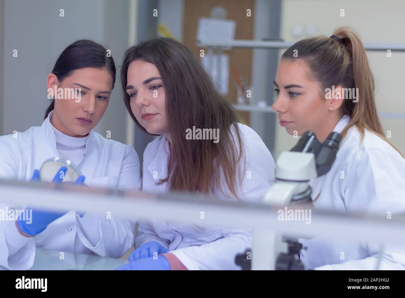 Group of Laboratory scientists working at lab with test tubes, test or ...