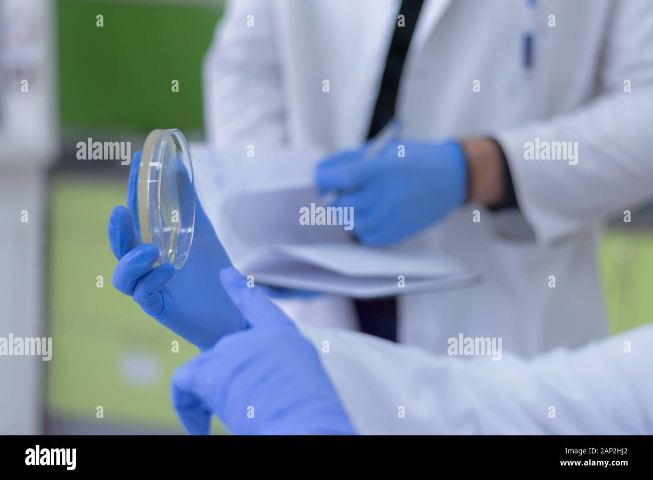 Group of Laboratory scientists working at lab with test tubes, test or ...