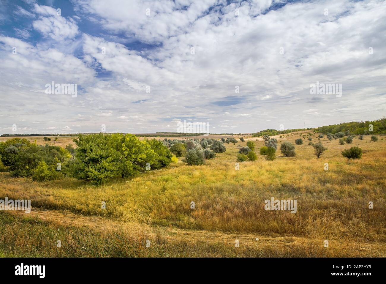 Green field and forest hi-res stock photography and images - Alamy