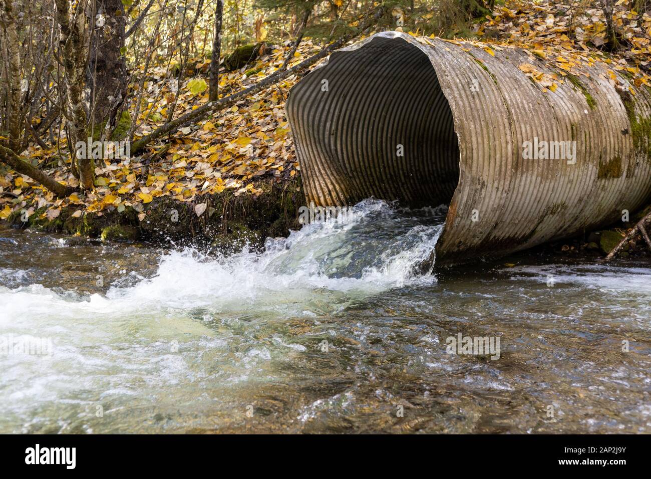 Perched and undersized culverts block fish migration in river in forest ...
