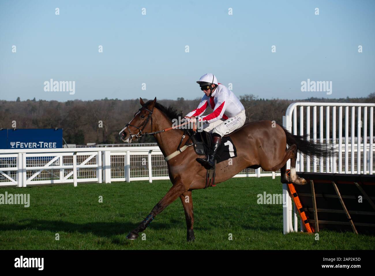 Gary moore horse trainer hi-res stock photography and images - Alamy