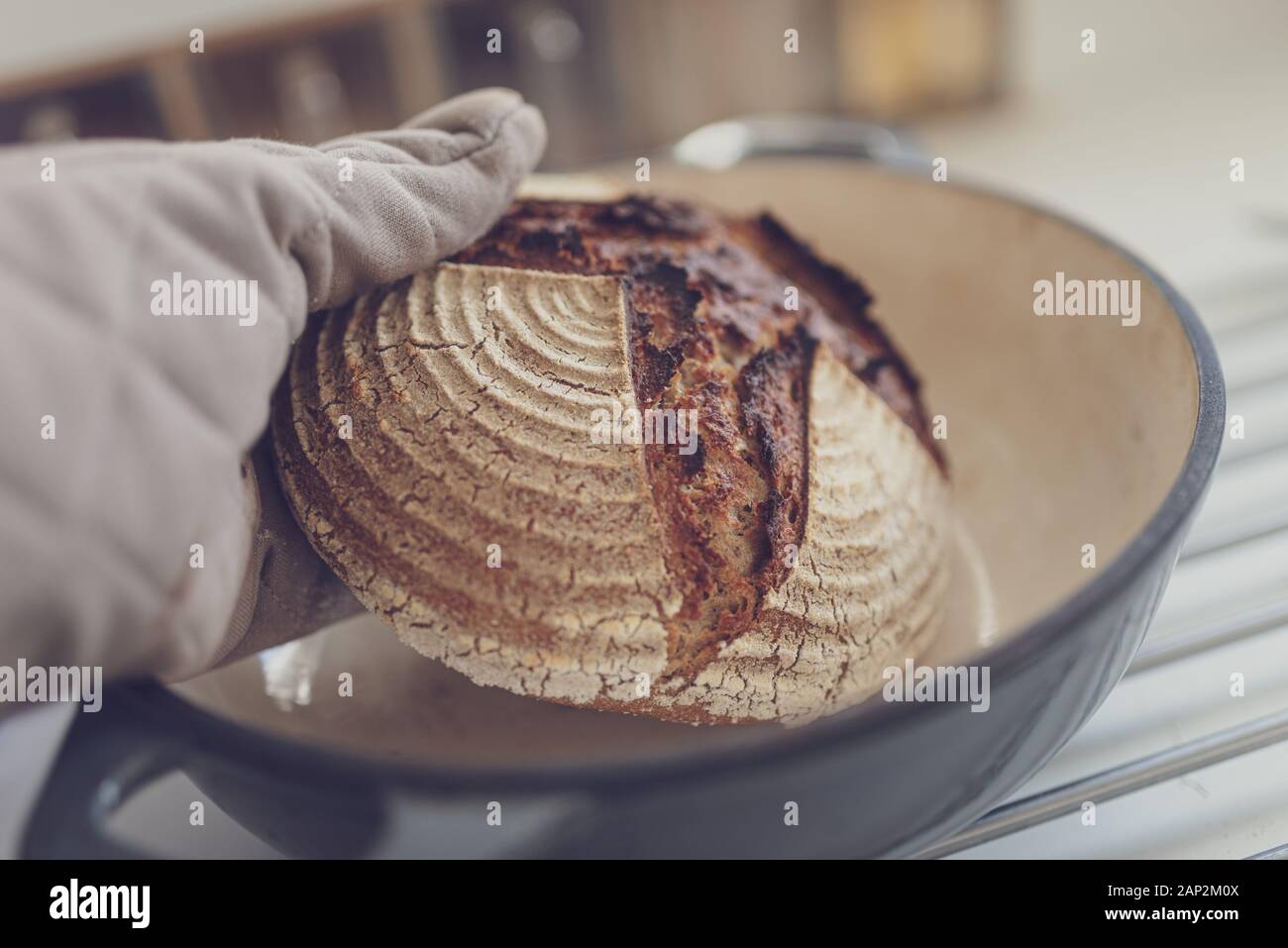 Closeup view of hand in kitchen mittens taking freshly baked hot bread ...