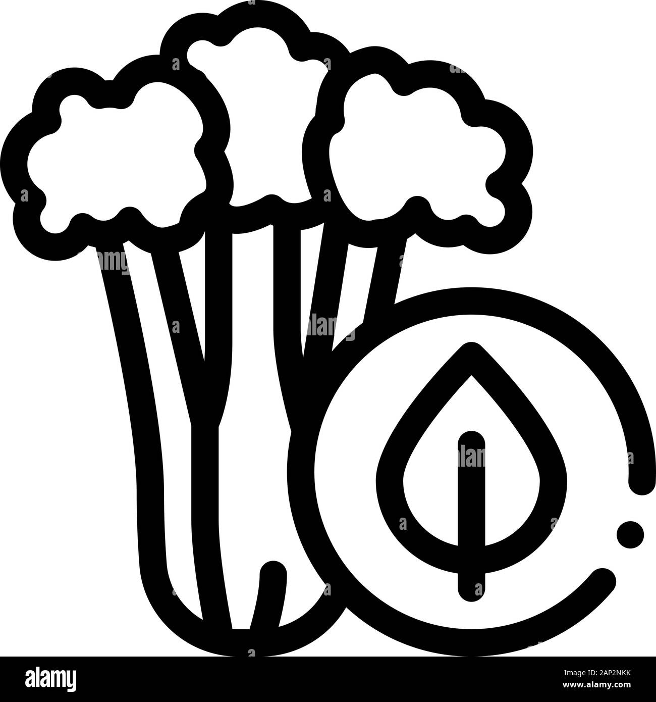 Celery line icon outline Cut Out Stock Images & Pictures - Alamy