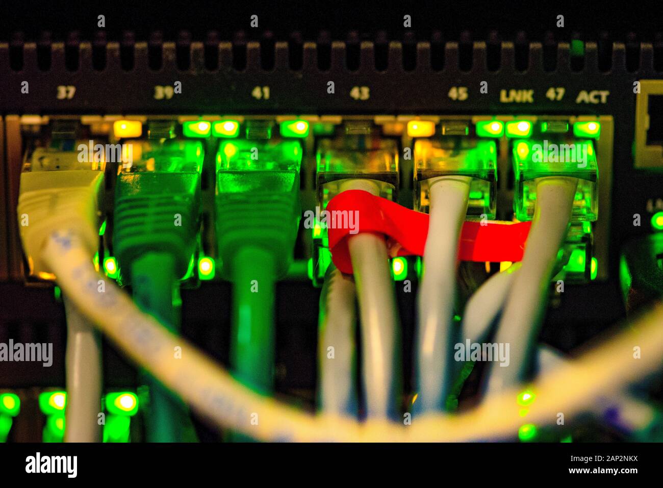 colourful cables at the back of a server Stock Photo - Alamy