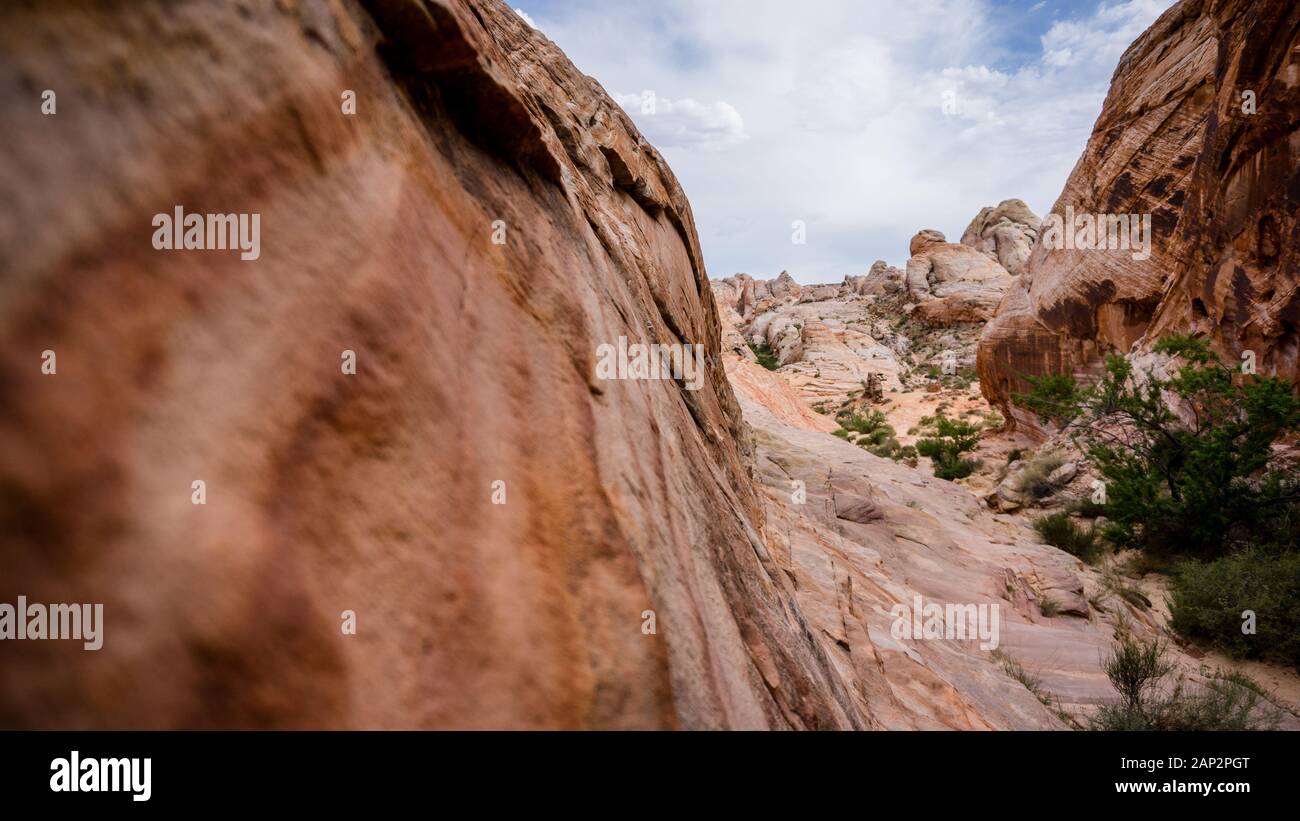 Colorful limestone formations in the valley of fire state park, USA ...