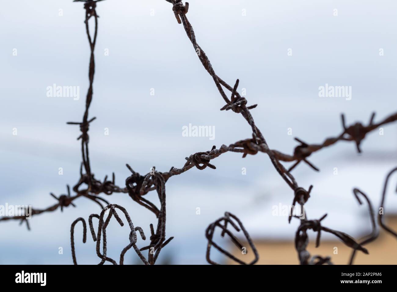 Wire look hi-res stock photography and images - Alamy