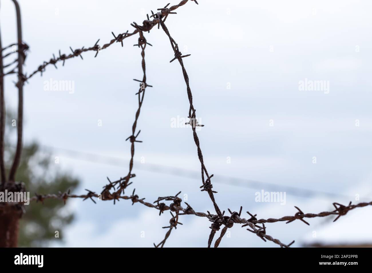 Barbed wire beauty hi-res stock photography and images - Alamy
